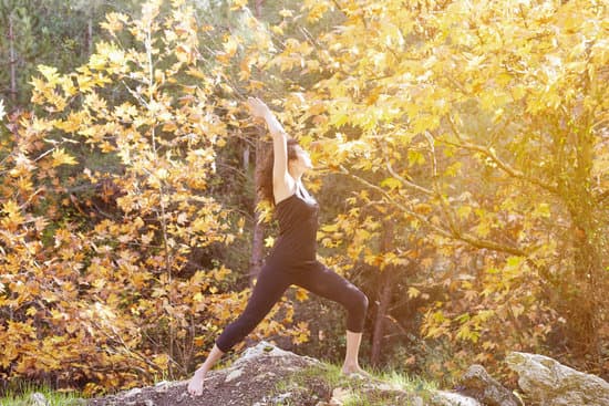 Che Cosa E' Hatha Yoga | Anandi